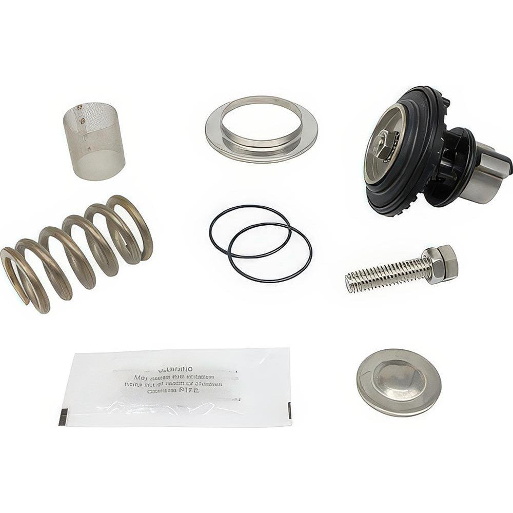 Plumbing Valve Repair Kits: Pressure Reducing Valve Repair Kit, 1 in ...