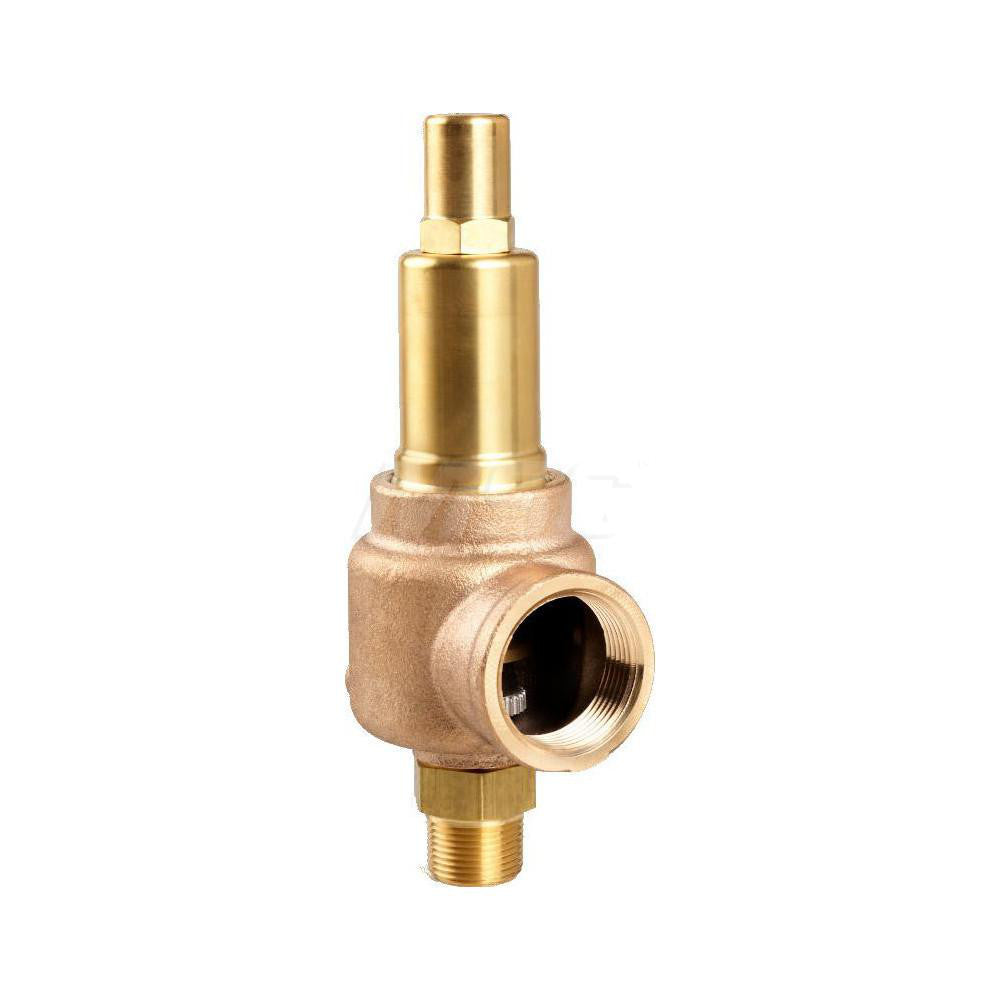 Liquid Relief Valve: 2" Inlet, 2,583 CFM, 350 Max psi – Flow Control ...