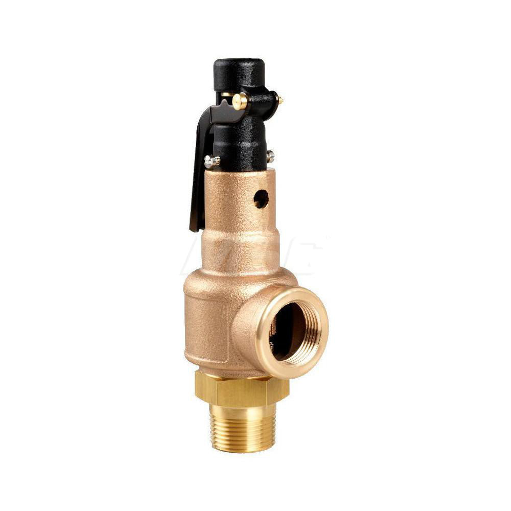 Steam Relief Valve: 1-1/4" Inlet, 593.9 CFM, 250 Max psi – Flow Control ...
