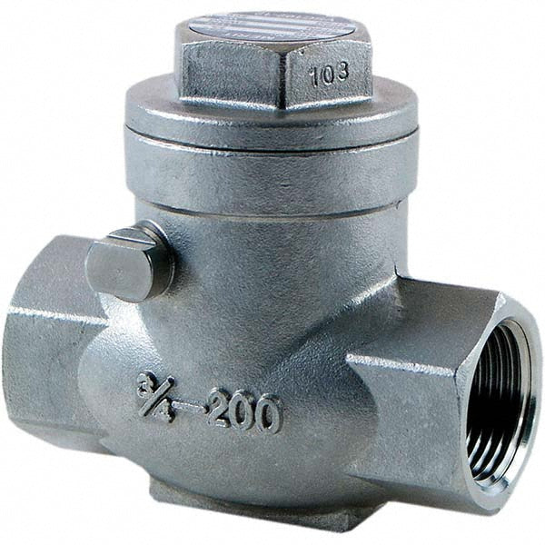 Check Valve: 1" Pipe – Flow Control Products
